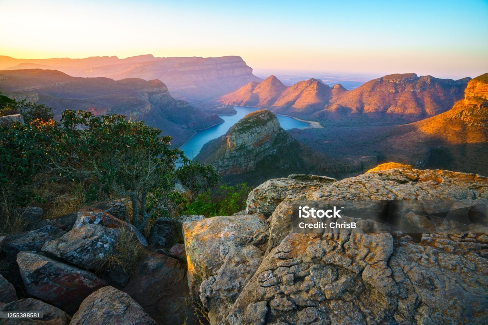 Lekwa - ACCORD Coalitions Tracker